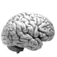 Sobre o Ensaio do Dr. James Parkinson | Acupuntura (針灸) e Neurologia